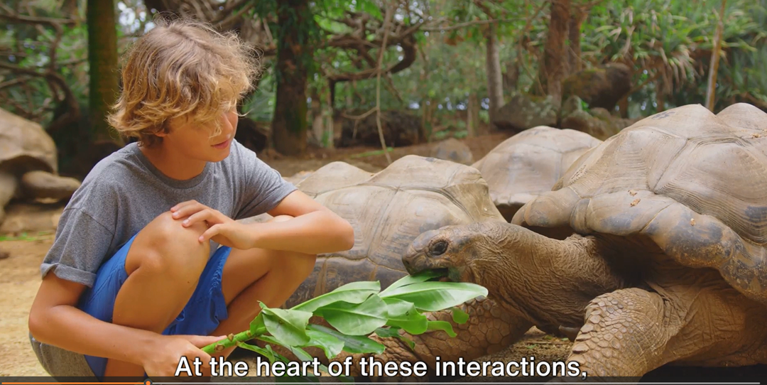 Embracing Compassion: The Heartbeat of Humanity in Our Connection with ...